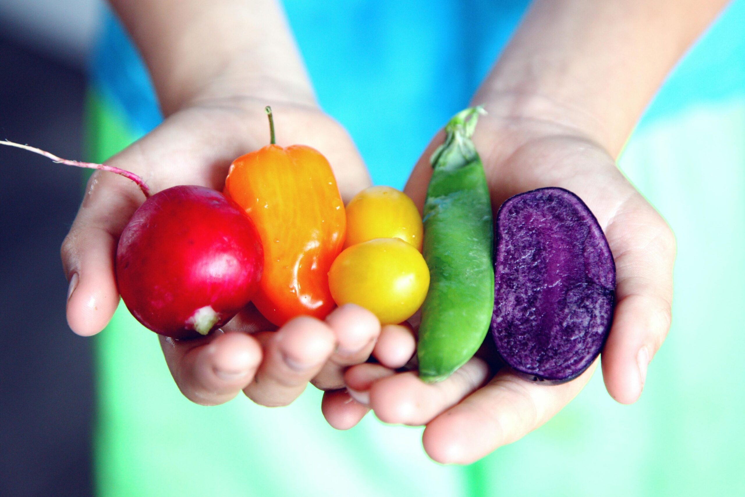 From farm to fork: An ambitious food strategy published by Defra | GK ...